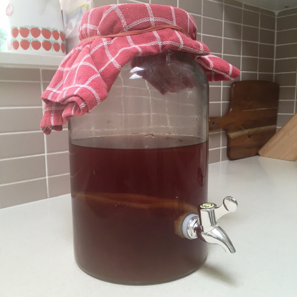 Recipe: Kombucha - The Yarn by The Free Range Butcher